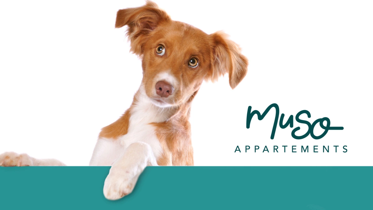 MUSO nouveau concept résidentiel unique à Québec